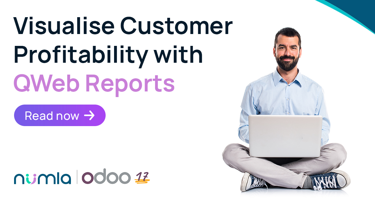 Visualise Customer Profitability with Odoo 17 QWeb Reports