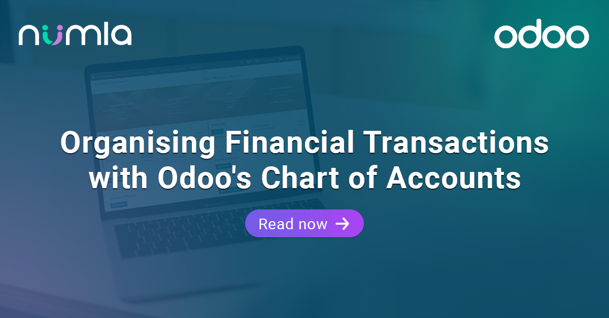 Organising Financial Transactions with Odoo's Chart of Accounts